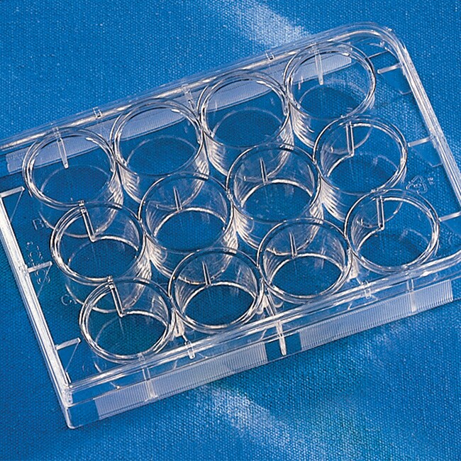 Cell Culture Dishes