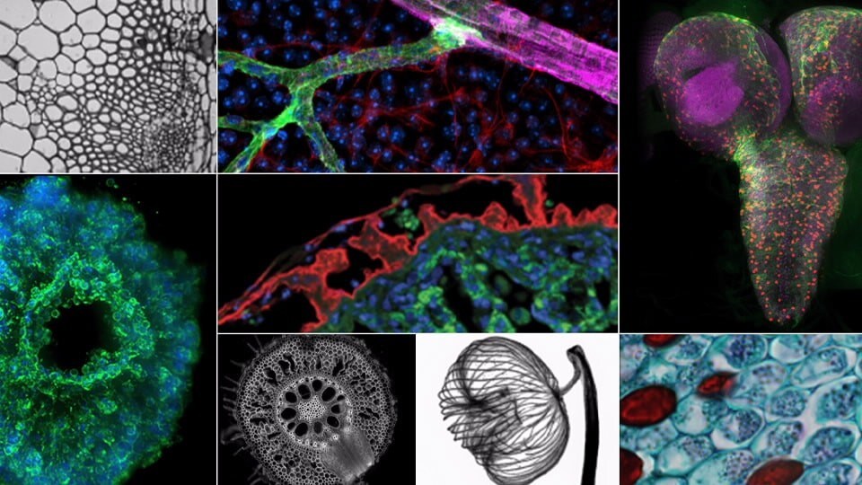 Confocal High Content Imaging Microscope: BioTek Cytation C10