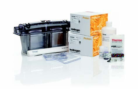 Thermo Scientific, Invitrogen and Gibco Starter Kits, Package Deals and ...