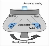 centrifugation process drawing