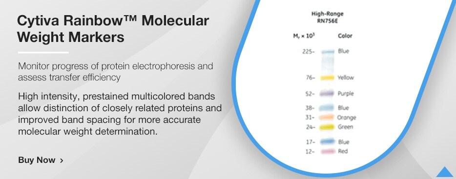 Protein Molecular Weight Markers | Fisher Scientific