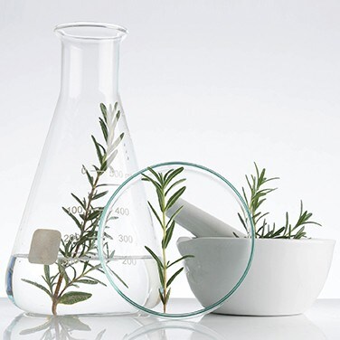 Strategies for a More Sustainable Lab